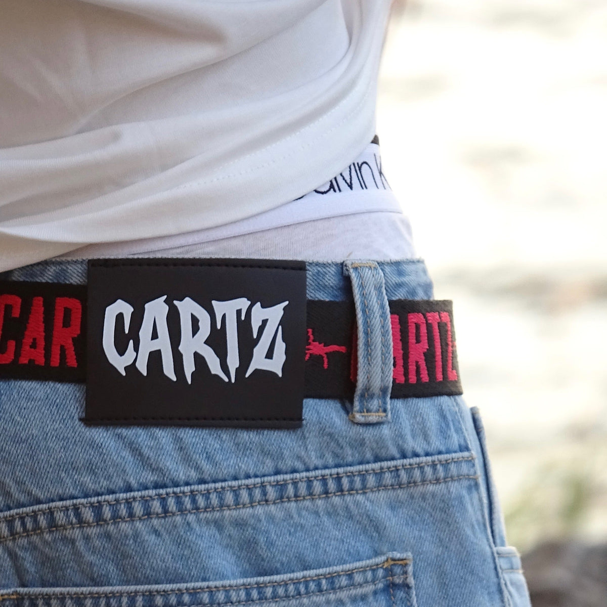 Products – CARTZ